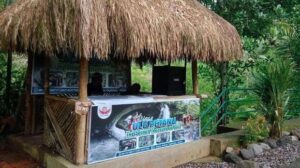 Ulu Petanu Waterfall : Location, Entrance fee, Attraction - BALI TOUR ...