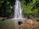 Ulu Petanu Waterfall : Location, Entrance fee, Attraction - BALI TOUR ...